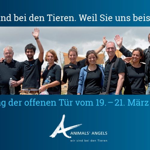Paula Wehmeyer - Schauspielerin & Autorin aus Bergisch Gladbach
